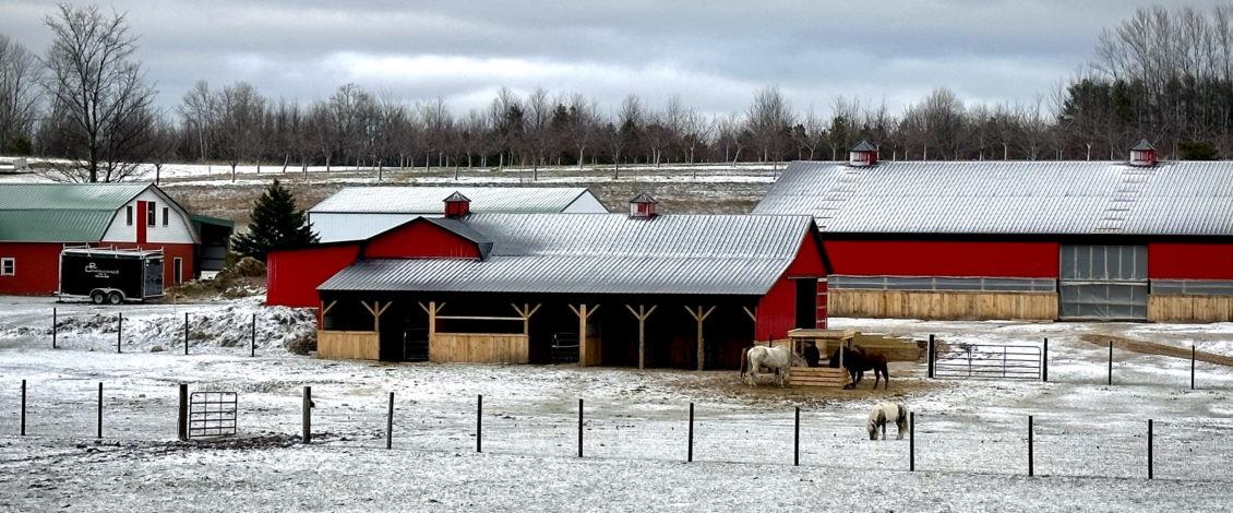 Gallery - Serenity Ranch LLC