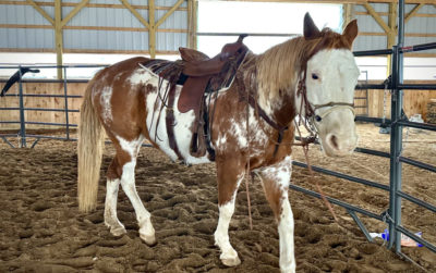 Gallery - Serenity Ranch LLC